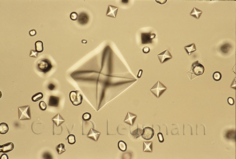 Mineralogisches Labor und Harnsteinanalysezentrum - Bildergalerie